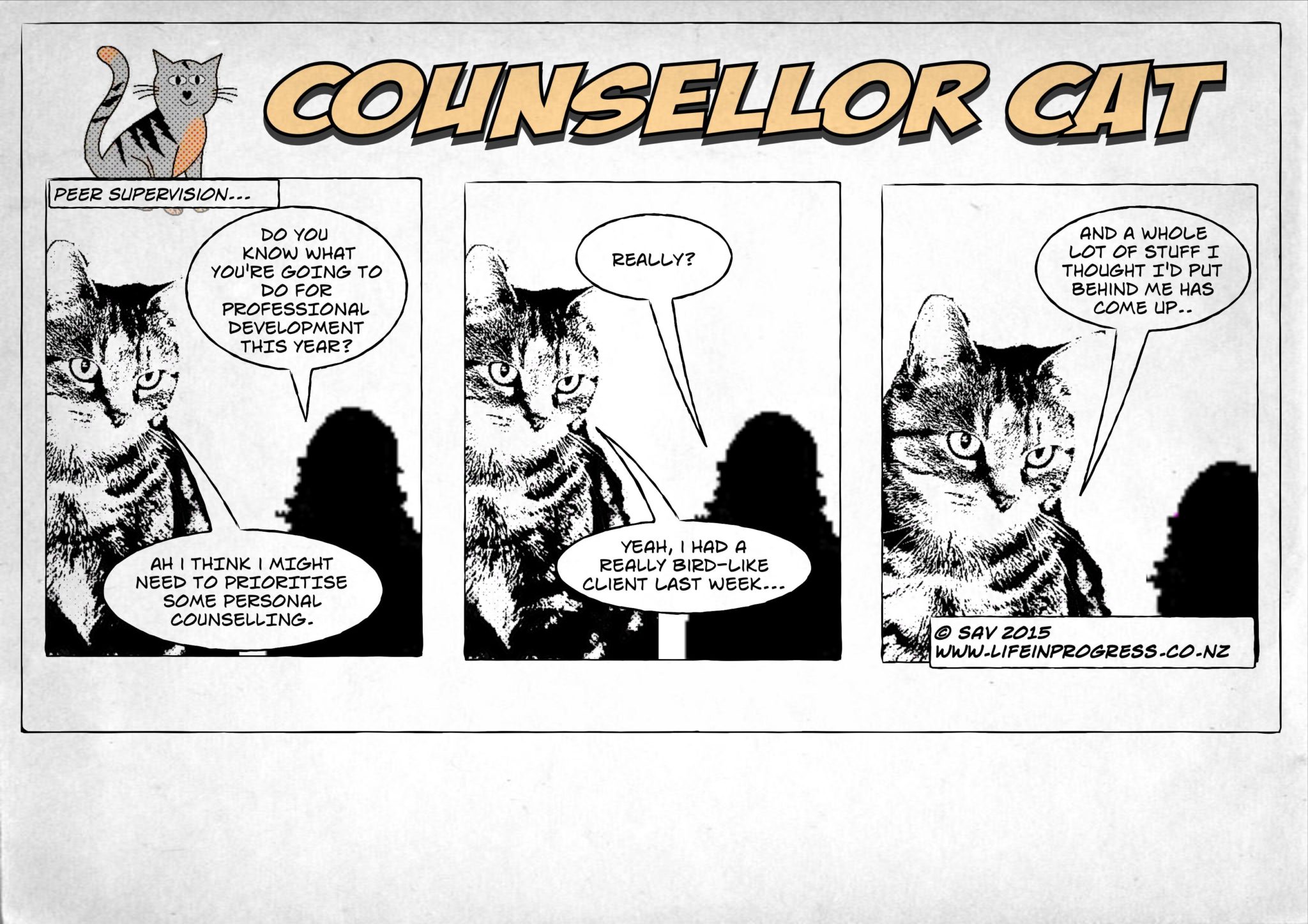 Counsellor Cat Cartoons - Life In Progress - Auckland Counselling