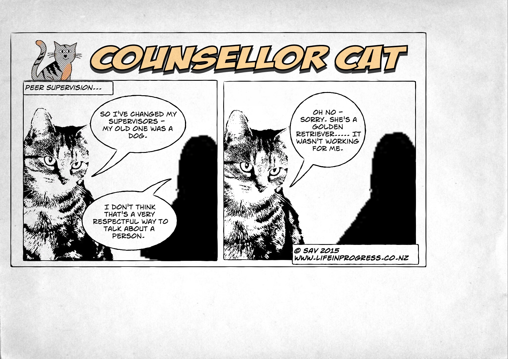 Counsellor Cat Cartoons - Life In Progress - Auckland Counselling